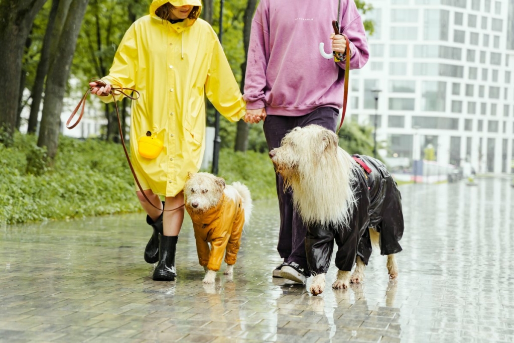 The Rainy Day Plan to Get You Outdoors - Outabs